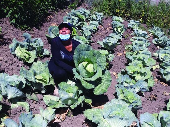 Empowered Mashaeng entrepreneur Tebello Mokoena masters farming market ...